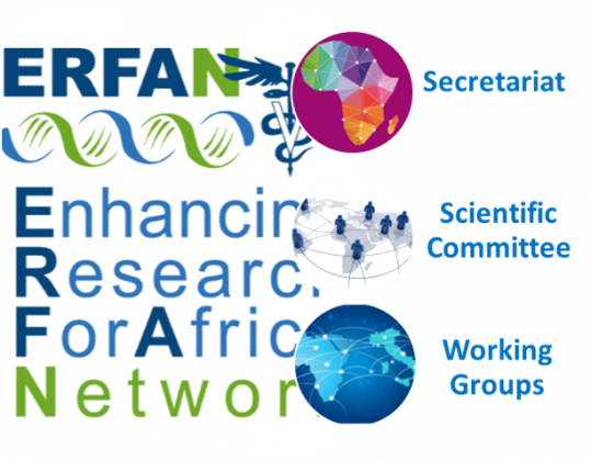 ERFAN Structure | ERFAN